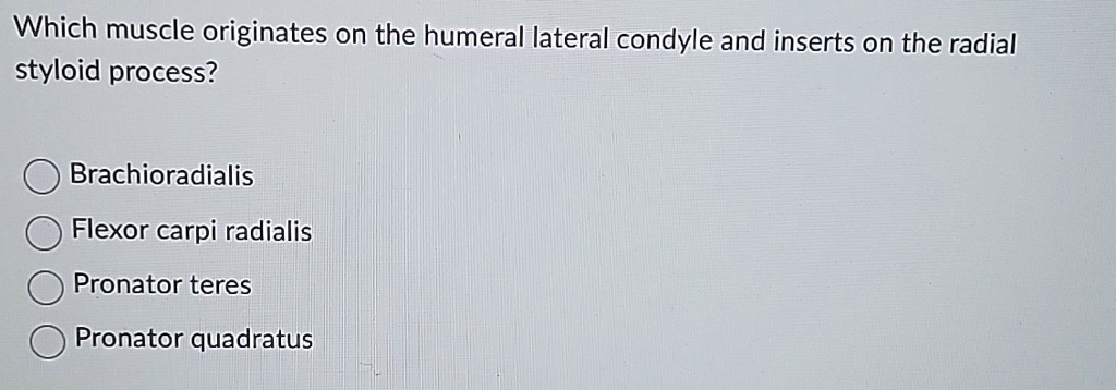 Which muscle originates on the humeral lateral condyle and inserts on ...