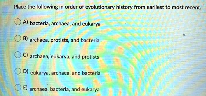 SOLVED: Place the following in order of evolutionary history from ...