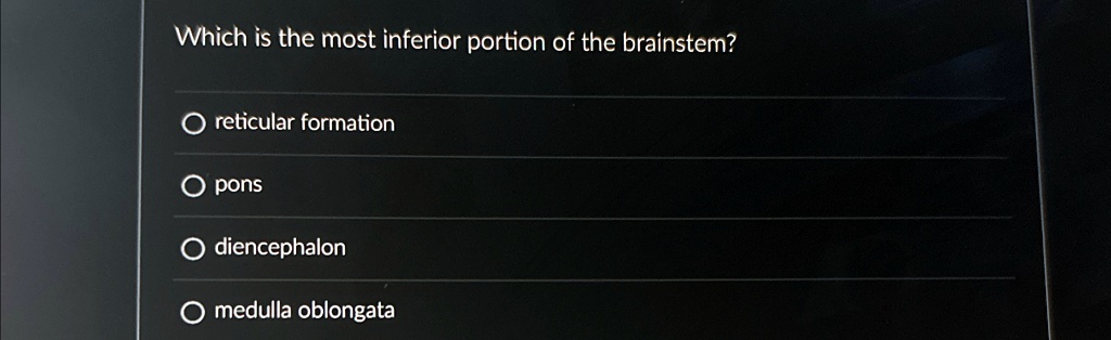 which is the most inferior portion of the brainstem reticular formation ...