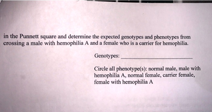 Solved In The Punnett Square And Determine The Expected Genotypes And