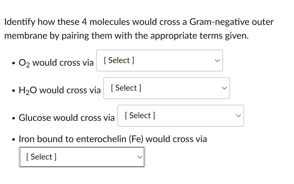 SOLVED: Identify how these 4 molecules would cross a Gram-negative ...