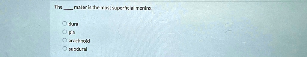 The mater is the most superficial meninx. dura pia arachnoid subdural ...