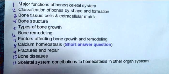 1 Major functions of bone/skeletal system 2 Classification of bones by ...