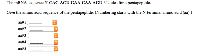 the mrna sequence 5cac acu gaa caa agu 3 codes for pentapeptide give ...