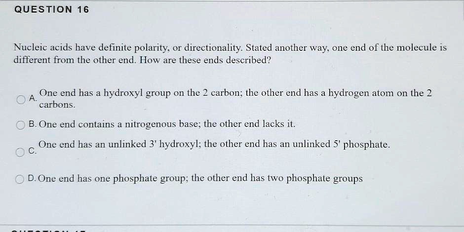 Nucleic acids have definite polarity: the directionality. Stated ...