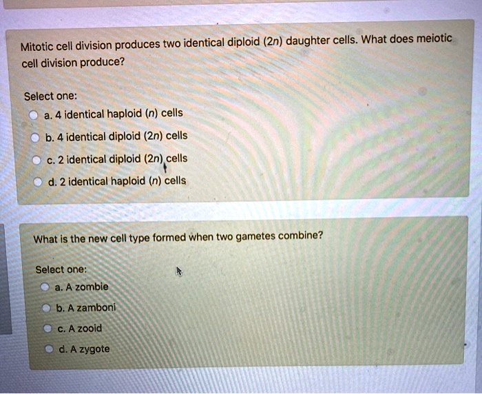 SOLVED: Mitotic cell division produces two identical diploid (2n ...