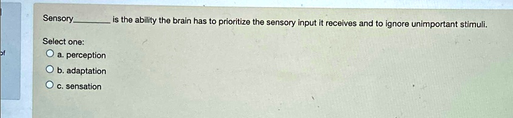 Sensory Is The Ability The Brain Has To Prioritize The Sensory Input It Receives And To Ignore