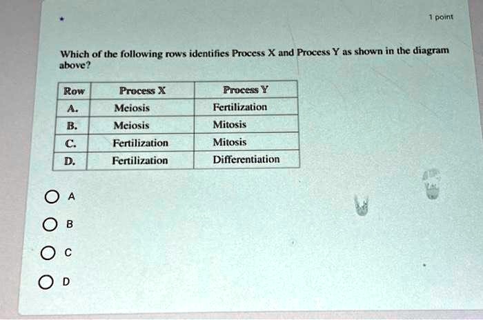 1 point Which of the following rows identifies Process X and Process Y ...