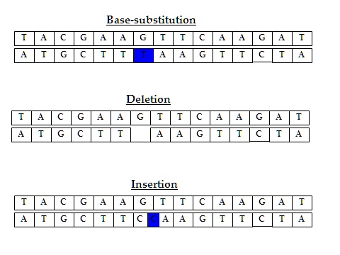 Base-substitution TACGAA GTTCAAGAT ATGCTT AAGTTC T A Deletion ...