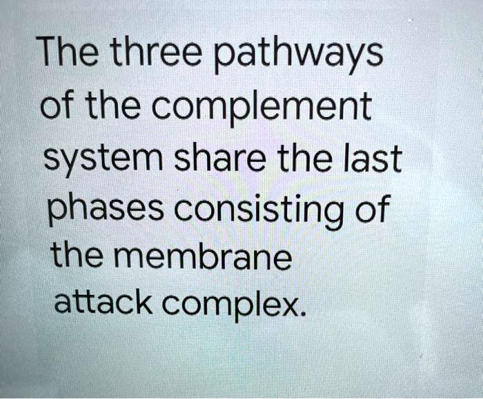 SOLVED: The three pathways of the complement system share the last ...