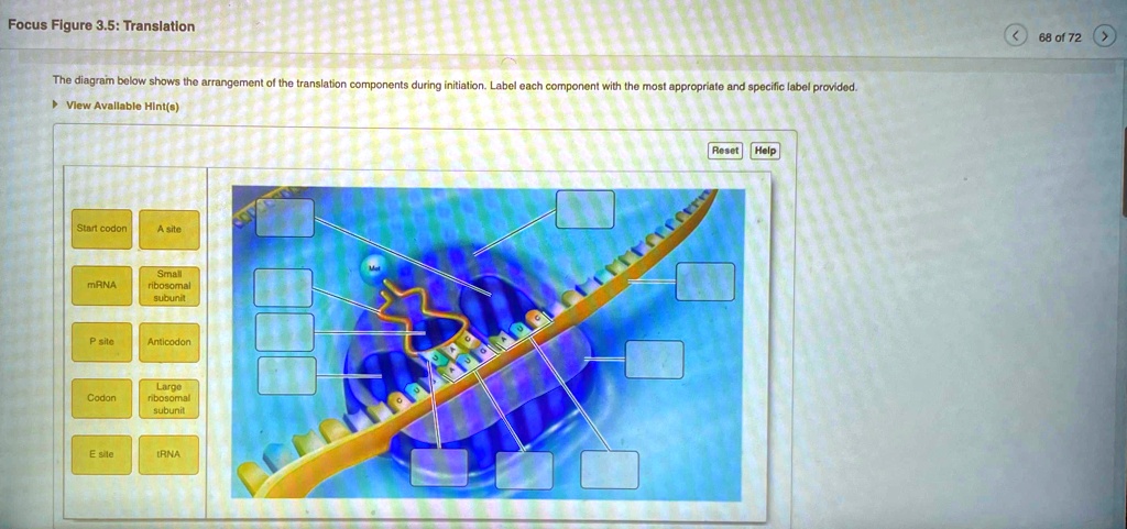 Focus Figure 3.5: Translation The diagram below shows the arrangement of the translation ...
