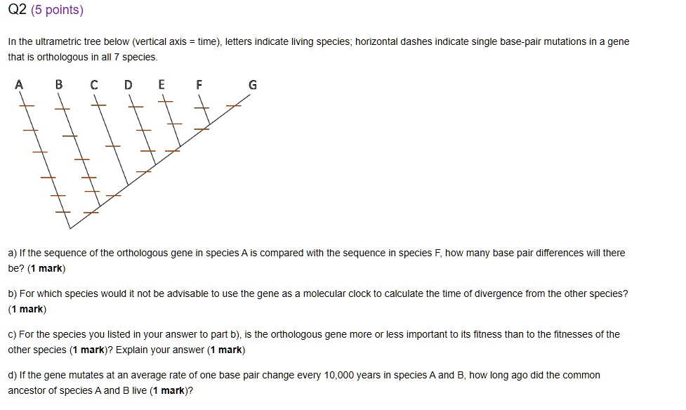 q2 5 points in the ultrametric tree below vertical axis time letters indicate living species ...