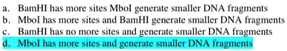 Solved The Restriction Enzyme Bamhi Cuts The Sequence 5 Ggatcc 3