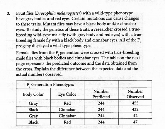 Solved Fruit Flies Drosophila Melanogaster With Wild Type Phenotype Have Gray Bodies And Red