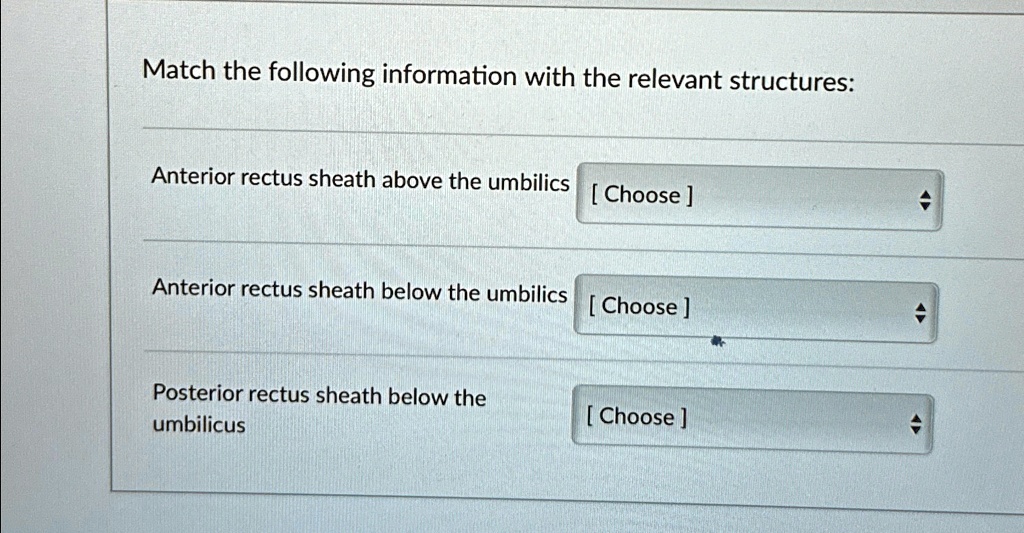 Match the following information with the relevant structures: Anterior ...