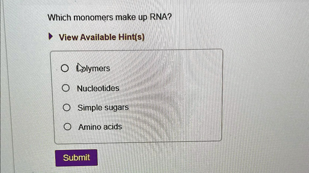 which monomers make up rna view available hints polymers nucleotides ...