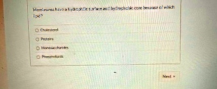 Membranes have a hydrophillle surface and hydrophobic core because of ...