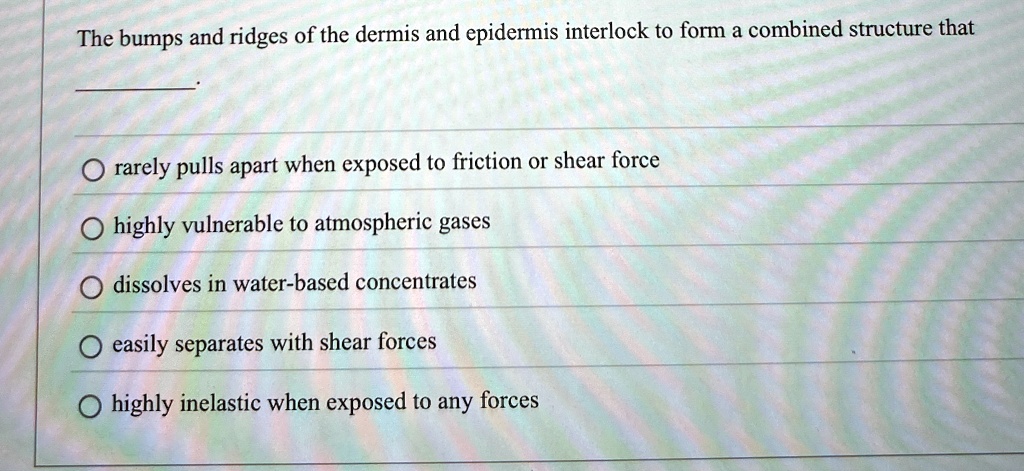 The bumps and ridges of the dermis and epidermis interlock to form a ...