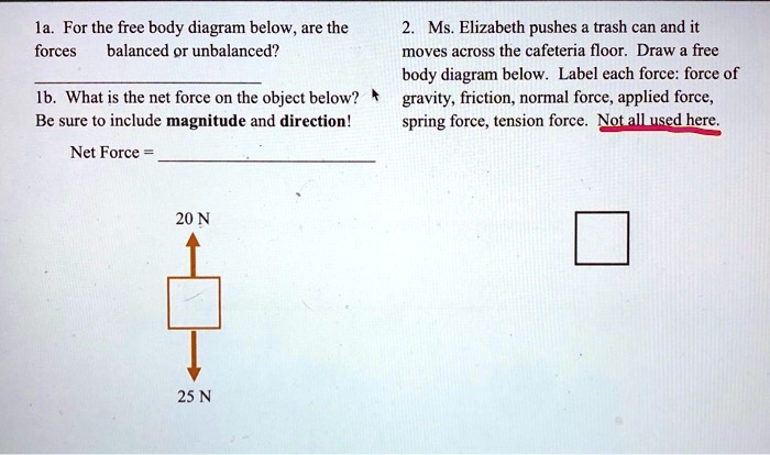 Balanced Force Free Body Diagram