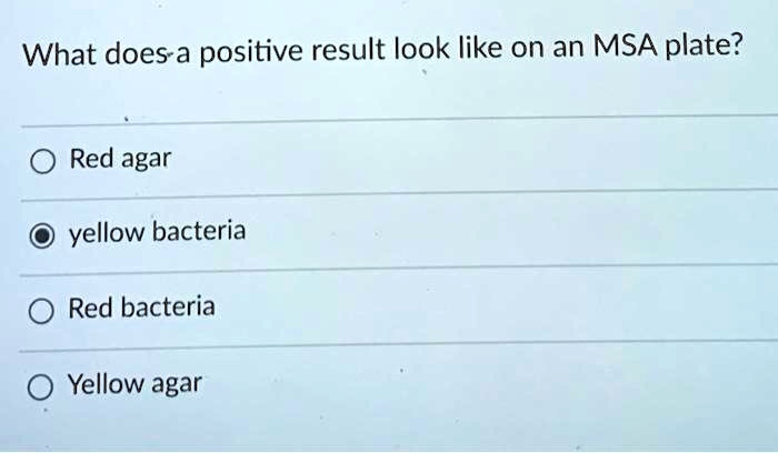 SOLVED: What does a positive result look like on an MSA plate? Red agar ...