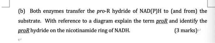 SOLVED:(6) Both enzymes transfer the pro-R hydride of NAD(PJH to (and ...