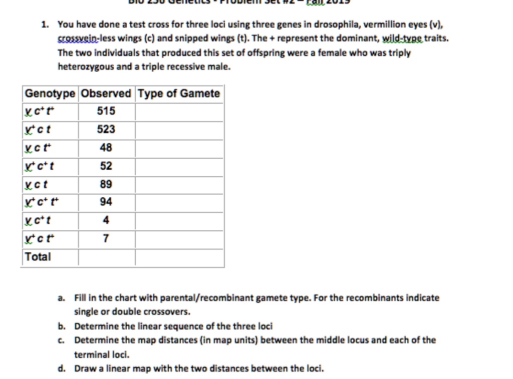 you have done atest cross for three loci using three genes in ...