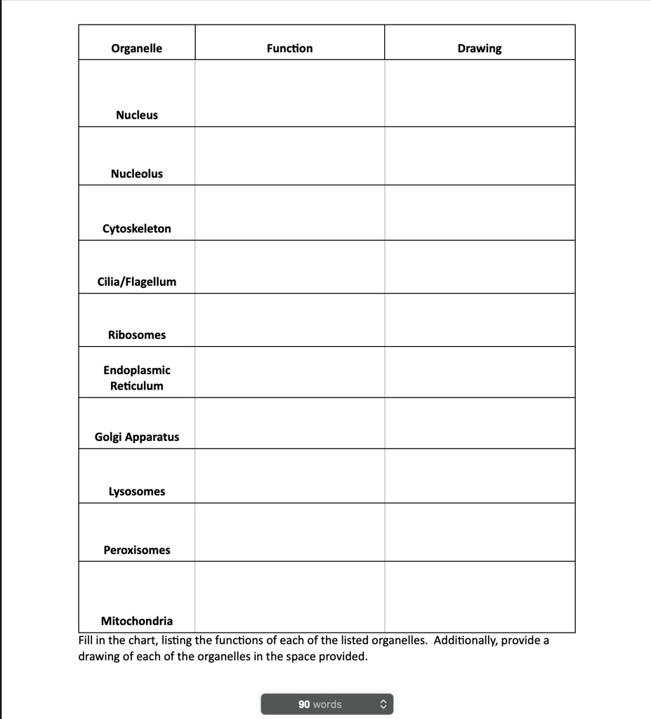 Organelle Function Drawing Nucleus Nucleolus Cytoskeleton Cilia ...