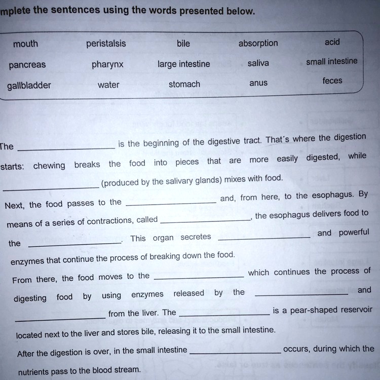 mplete the sentences using the words presented below. mouth pancreas ...