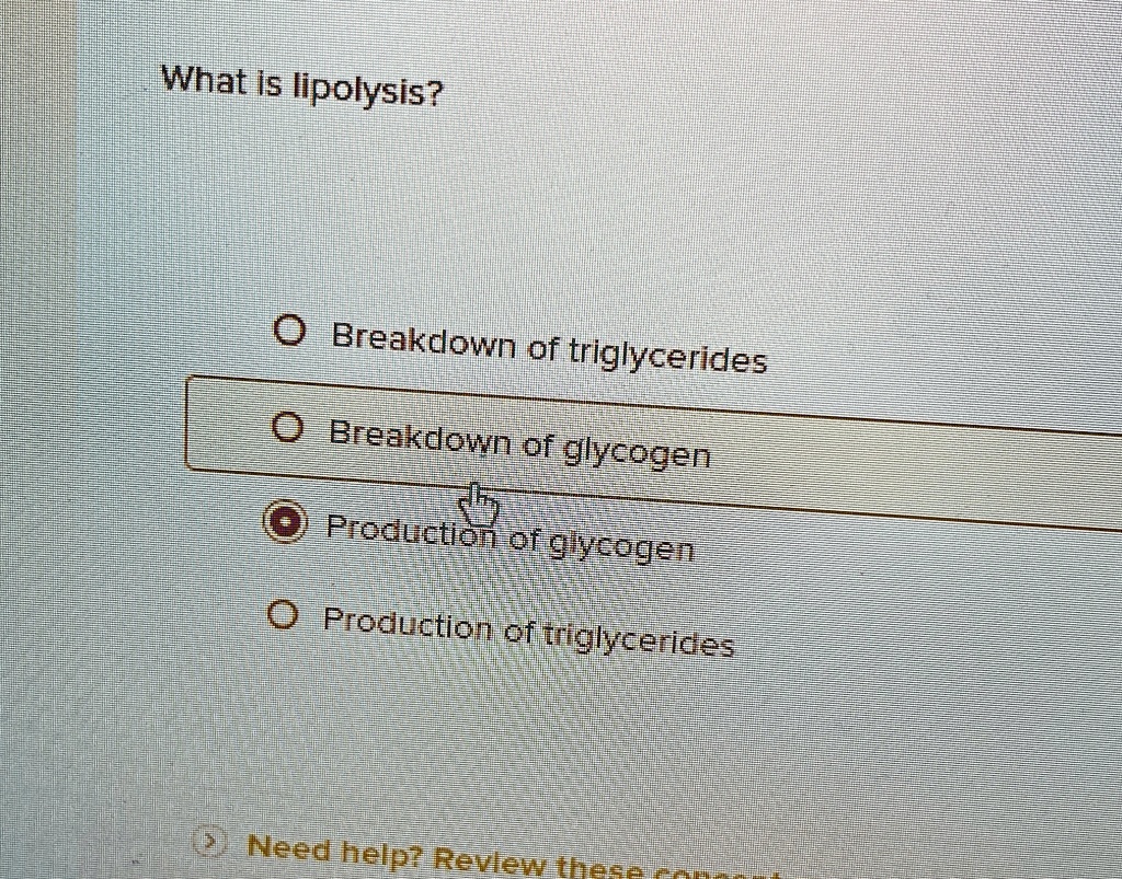 What is lipolysis? Breakdown of triglycerides Breakdown of glycogen ...