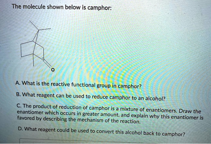 SOLVED: The molecule shown below is camphor: A What is the reactive ...