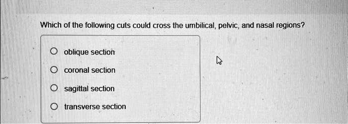 SOLVED: Which of the following cuts could cross the umbilical, pelvic ...