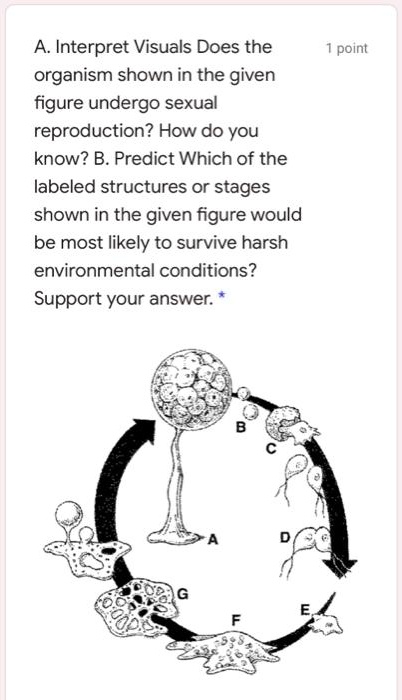 A. Interpret Visuals Does the organism shown in the given figure ...