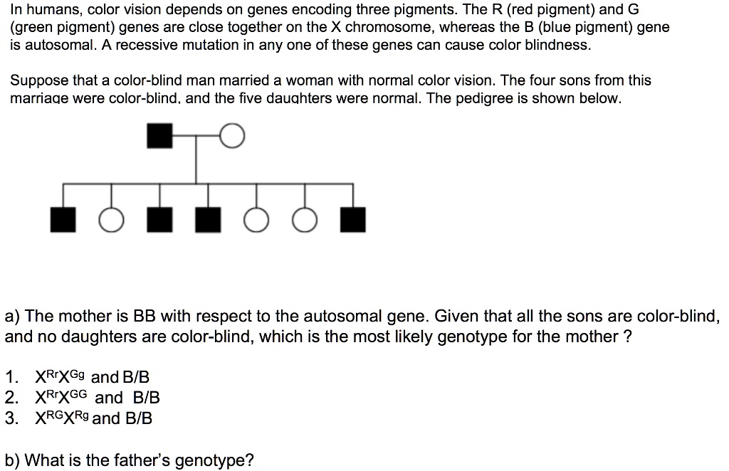 SOLVED: In humans, color vision depends on genes encoding three ...