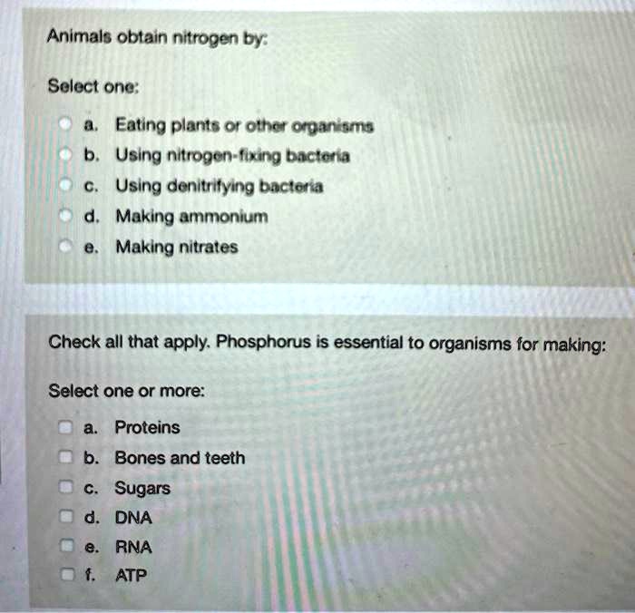 Animals obtain nitrogen by: Select one: a. Eating plants or other ...
