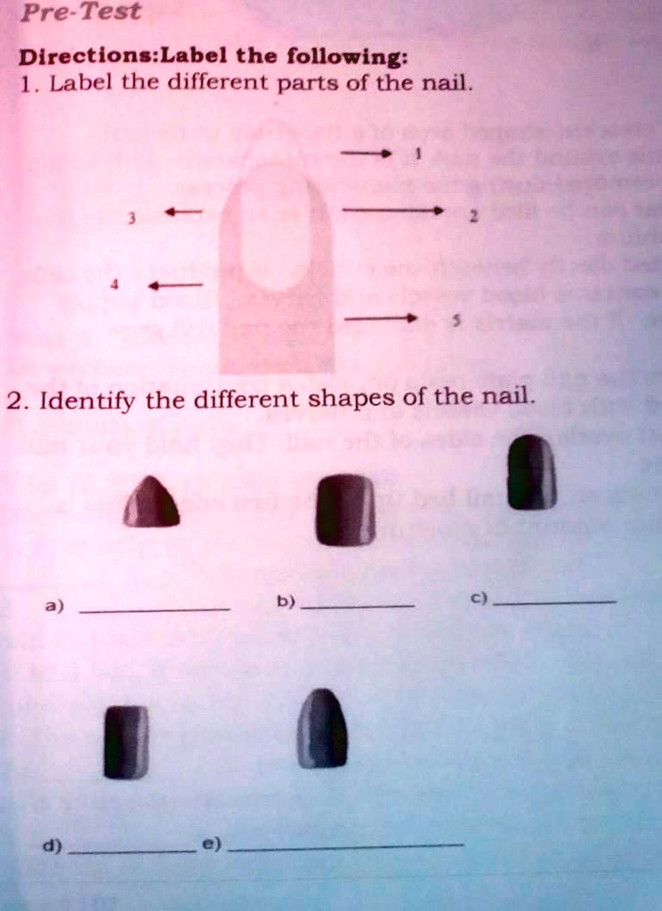 Pre-Test Directions: Label the following: 1. Label the different parts ...