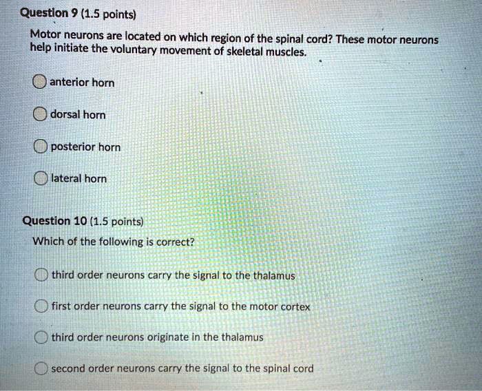 Question 9 (1.5 points) Motor neurons are located on which region of ...