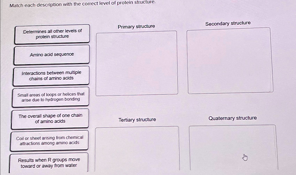 Match each description with the correct level of protein structure ...