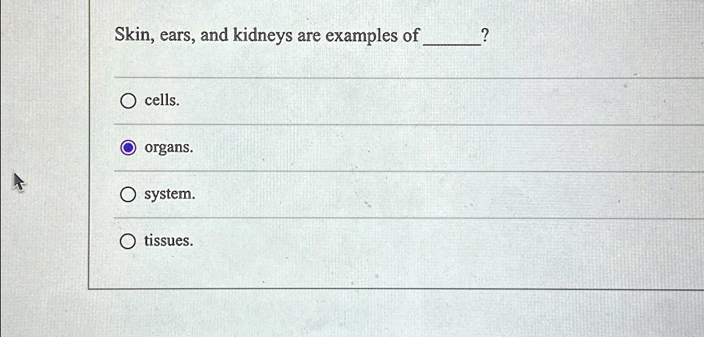 skin ears and kidneys are examples of cells organs system tissues skin ...