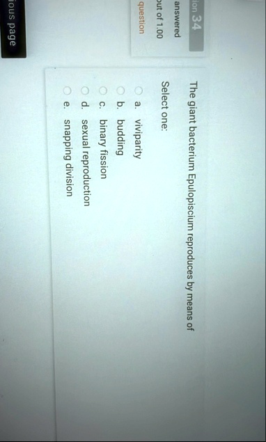 ion 34 answered out of 100 question ious page the giant bacterium ...