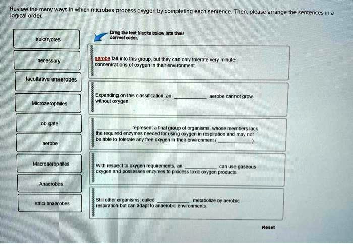 Review the many ways in which microbes process oxygen by completing ...