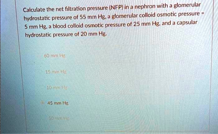 SOLVED: is not 10 nor 45 the correct answers. Please help. ASAP NO ...