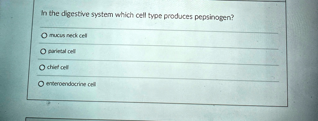 In the digestive system which cell type produces pepsinogen? Omucus ...