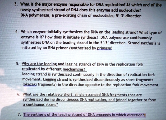SOLVED: What is the major enzyme responsible for DNA replication? At ...