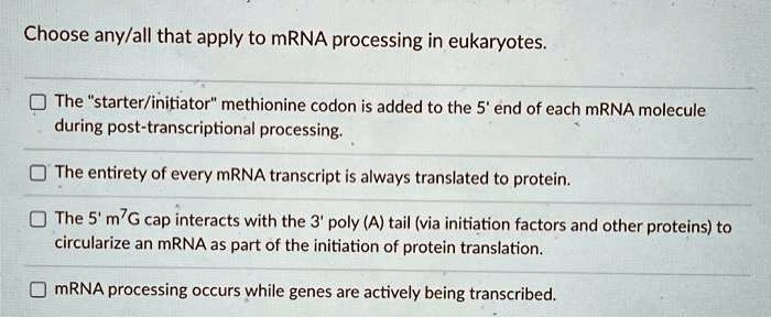 SOLVED: Texts: Choose any/all that apply to mRNA processing in ...