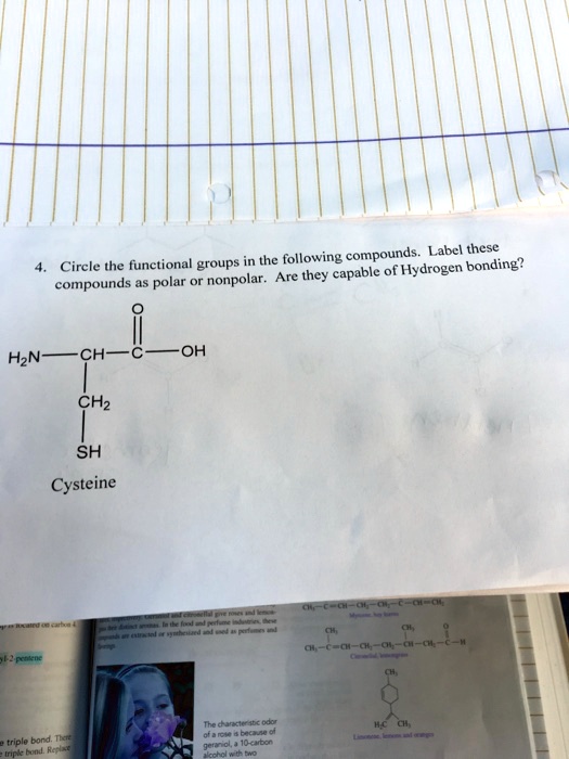 Hydrogen Bonding Labels