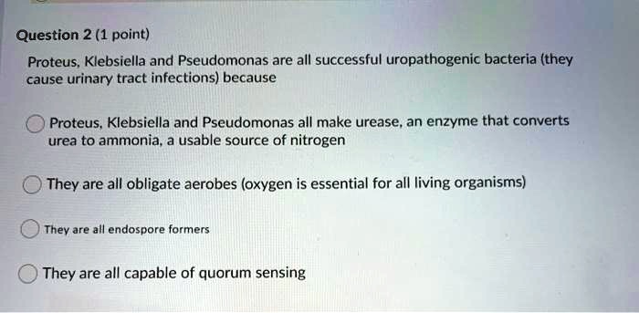 question 2 1 point proteus klebsiella and pseudomonas are all ...