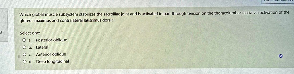 Which global muscle subsystem stabilizes the sacroiliac joint and is ...