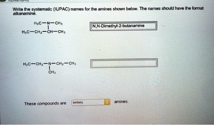 write the systematic iupac namas for the amines shown below the namas ...