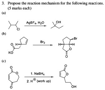 SOLVED: Propose the reaction mechanism for the following mactions marks ...