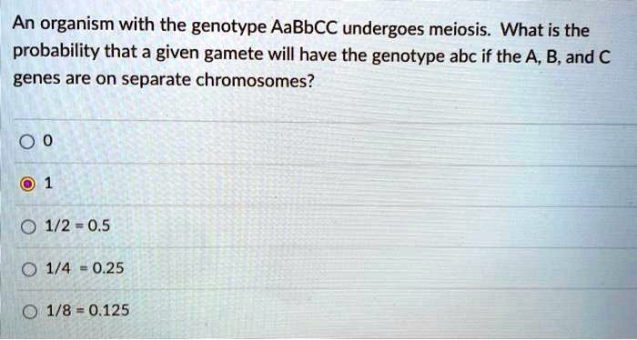 An organism with the genotype aabbcc undergoes meiosis what...